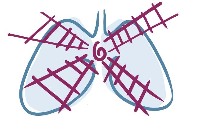 21º curso teórico práctico sorecar sociedad española rehabilitación ...